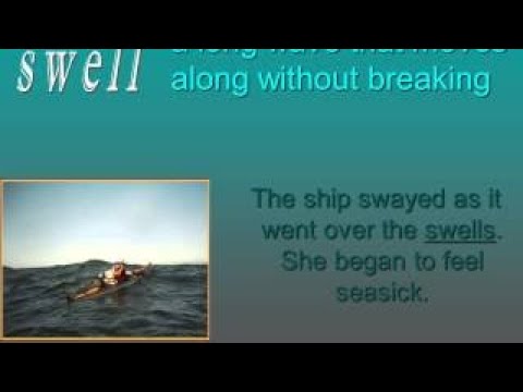 Seal Surfer Vocabulary Words Houghton Mifflin