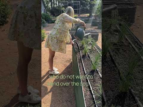 32" Extra Tall Raised Garden Beds from Vego Garden!