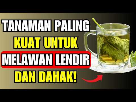 Tanaman #1 untuk MENGHILANGKAN semua DAHAK di TENGGOROKAN Anda dalam Menit!(Begini cara konsumsinya)