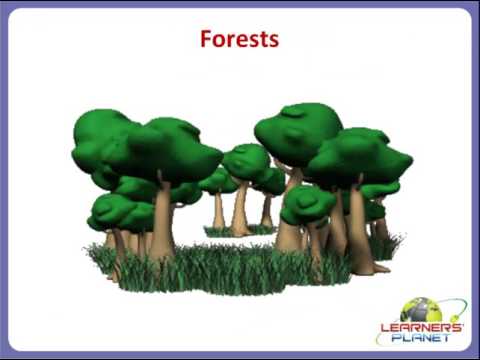 CBSE 4th science How plants survive video s-1|Science worksheets mcqs 4th grade