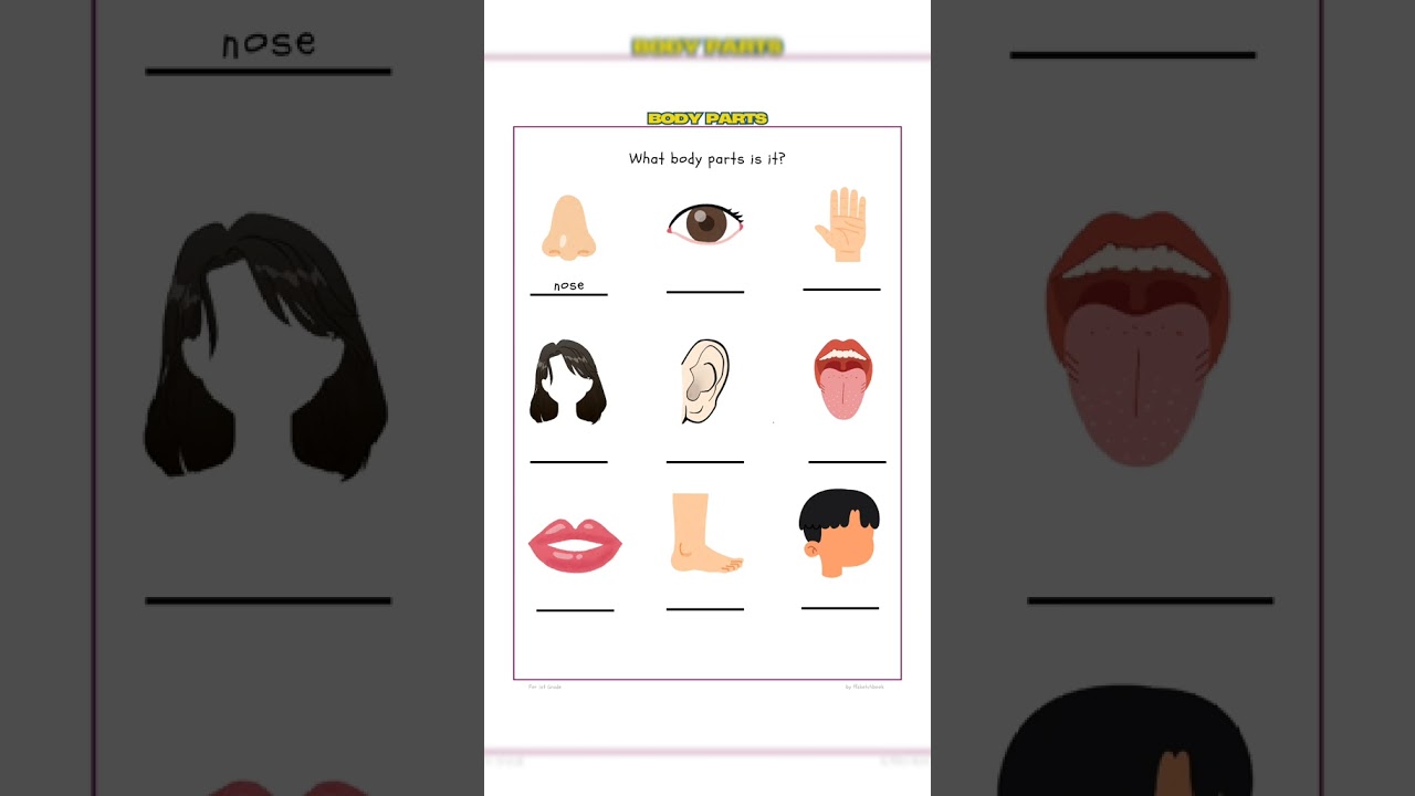 Body Parts Worksheets (link on bio)