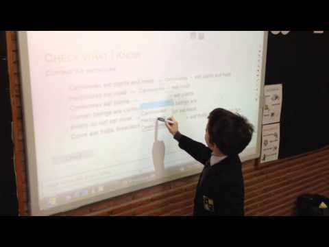 Students in 3rd grade are taking full advantage of the interactive whiteboards