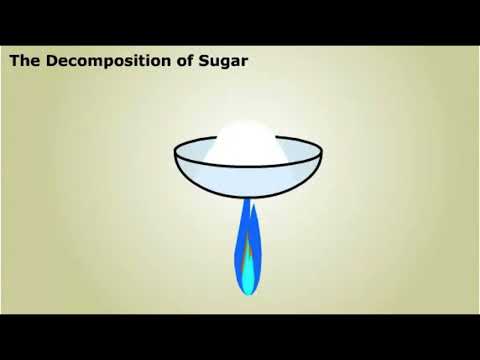 Enzyme Kinetics