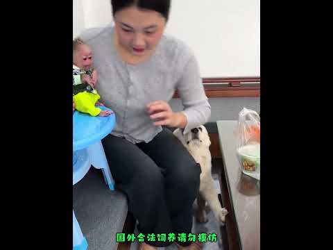 The little monkey was very excited when he saw his mother buy it early#cutemonkey#monkey #monkeybaby