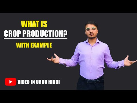 What is Crop Production with easy Example? Urdu / Hindi