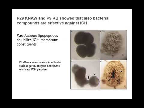 19. ParaFishControl New Treatments for Parasitic Diseases in European Aquaculture Farms