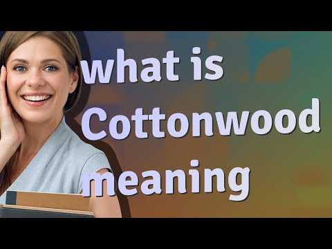 Cottonwood | meaning of Cottonwood