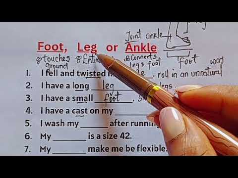 English Grammar Exercise | foot | ankle | leg | What's the Difference?