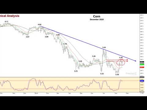 December Corn Chart 8-21-20 | Heartland Farm Partners