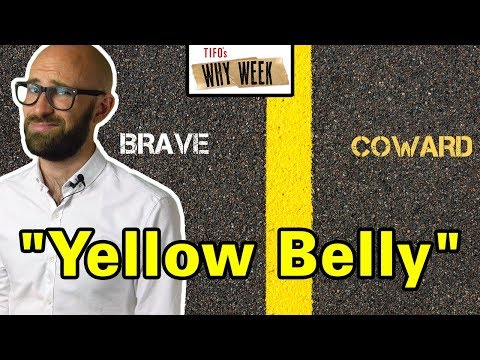 Why Week: Why Does Yellow Mean Cowardly?