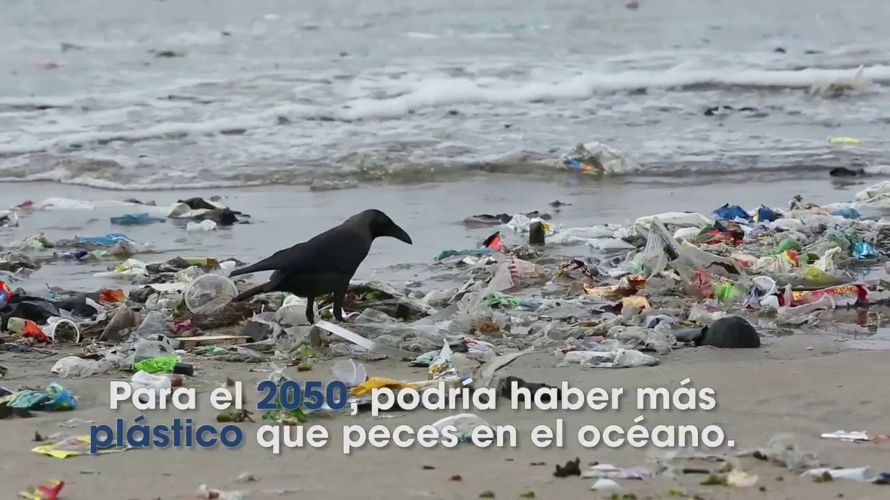 Mares Limpios - ONU Medio Ambiente