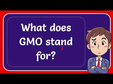 What does GMO stand for?