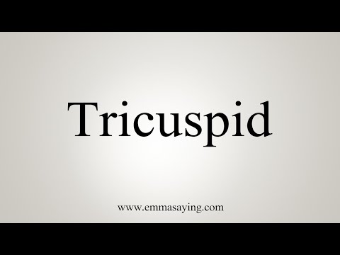 How To Say Tricuspid
