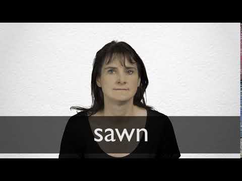 How to pronounce SAWN in British English