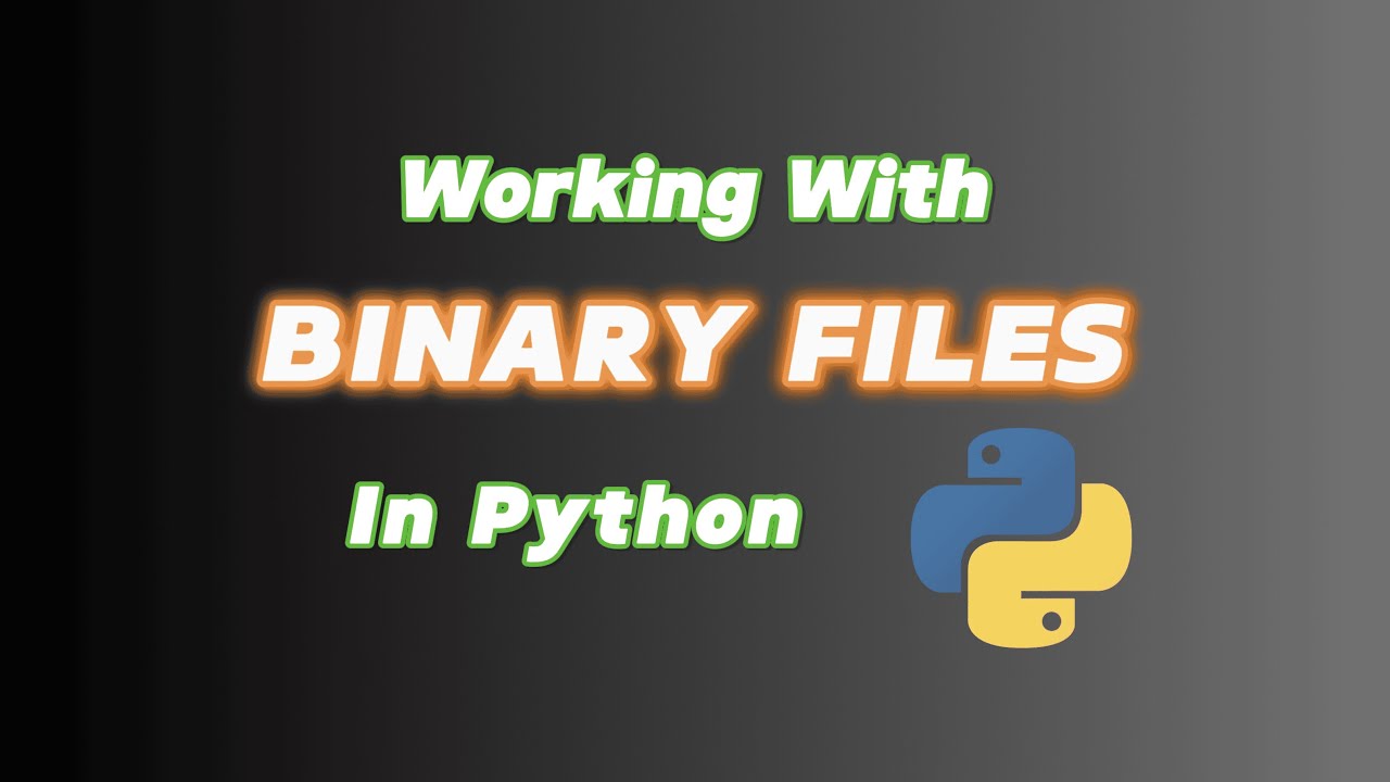 Mastering Binary File Handling in Python: Read & Write Like a Pro 😎