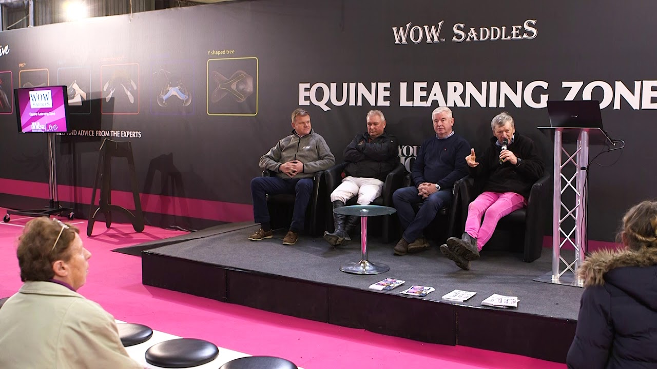 Does the bitless bridle I choose make a difference to my horse? | Your Horse