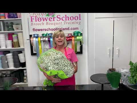 Top Tips - How to Condition Gyp