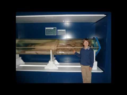 KRAKEN / CALAMAR GIGANTE ( ARCHITEUTHIS)
