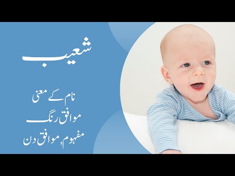 Shoaib Name Meaning in Urdu - Discover the Beautiful Translation