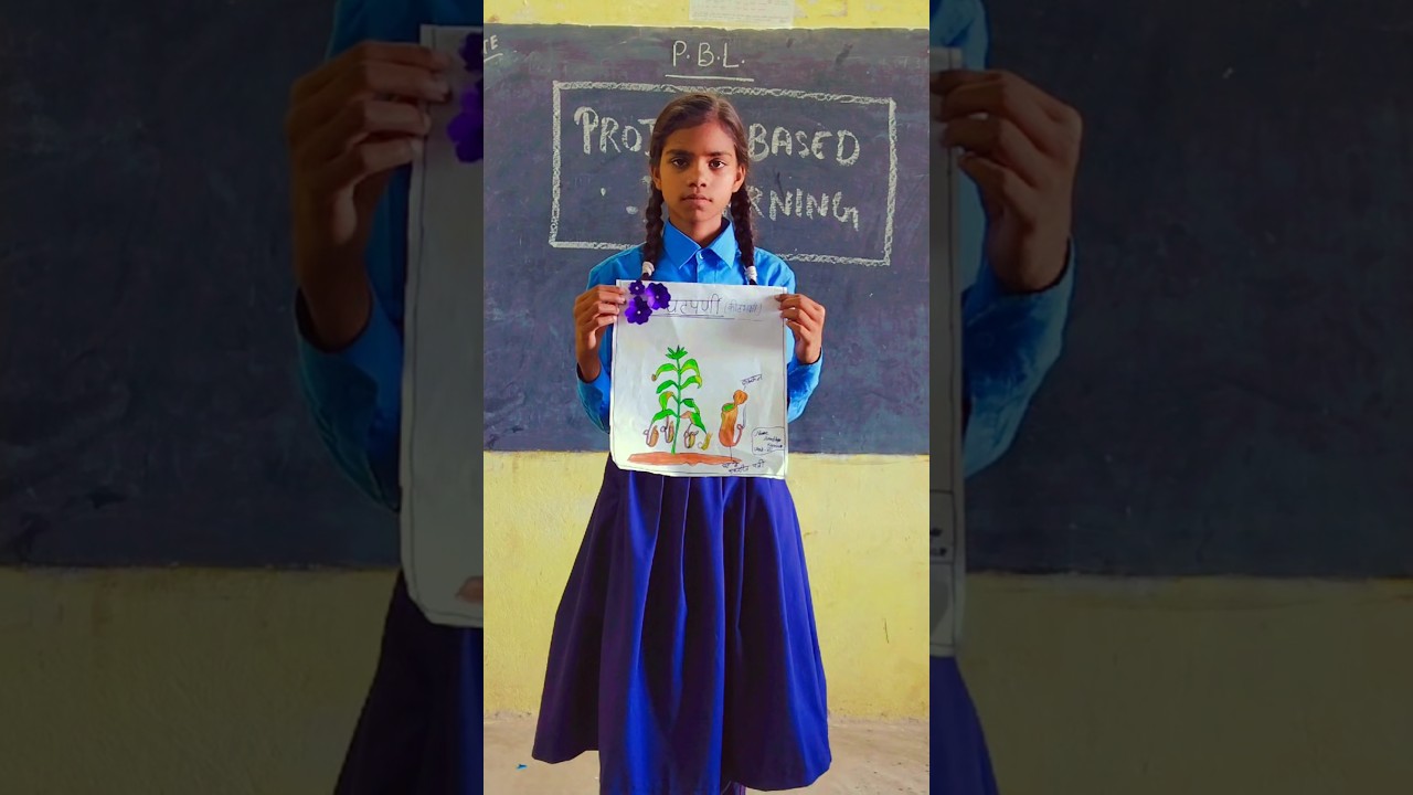 Project Based Learning 👍🏻 | #activity #shorts #shortsfeed #pbl #science #trendingshorts