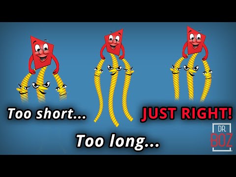 MCT - too short, too long and Just RIGHT. Medium Chain Triglycerides. - Dr. Boz