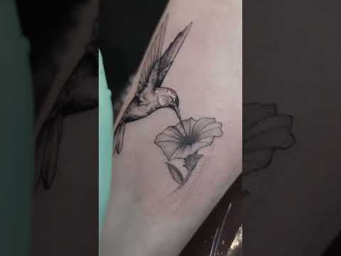 Hummingbird TATTOO Black and Grey #shorts #shortsvideo