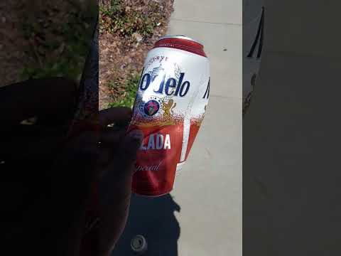 Modelo beer