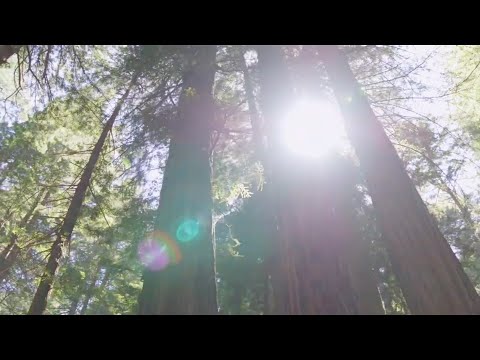 Good Morning Music | Gold Coast Music | Home | California