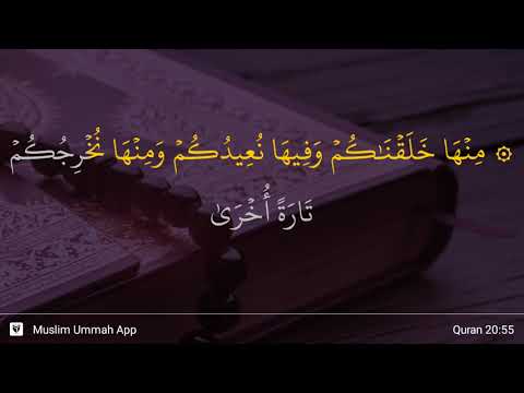 Ta Ha ayat 55