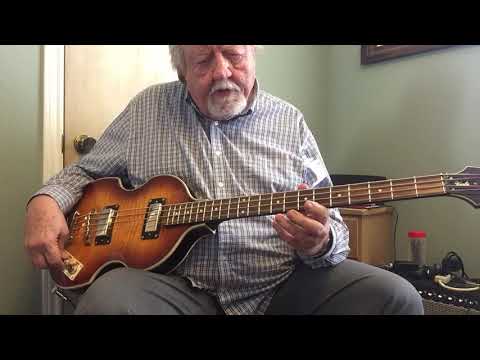 Epiphone Viola Bass Case iMuso