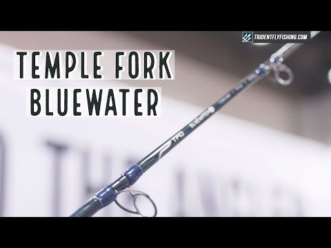 TFO Bluewater SG Fly Rod | Insider Review