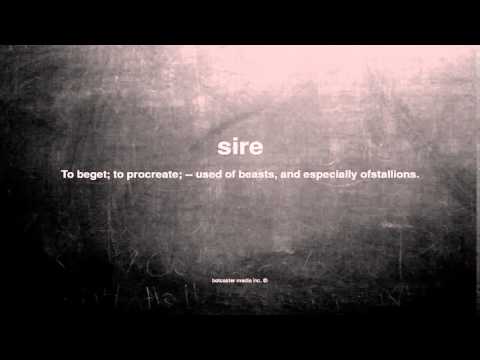What does sire mean