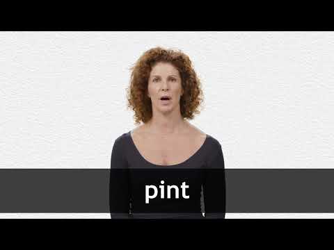 PINT - Definition & Translations | Collins English Dictionary