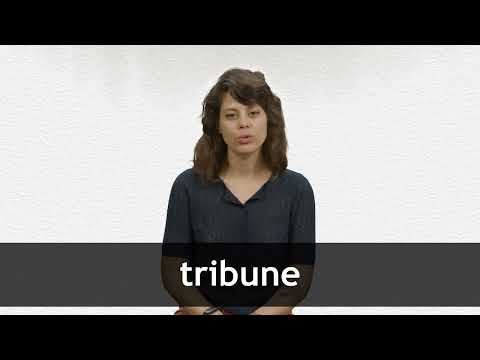 English Translation of “TRIBUNE” | Collins French-English Dictionary