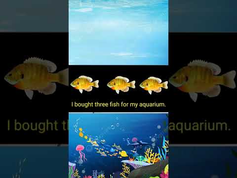 What is the plural of fish? Is it fish or fishes?