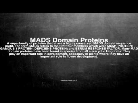 Medical vocabulary: What does MADS Domain Proteins mean