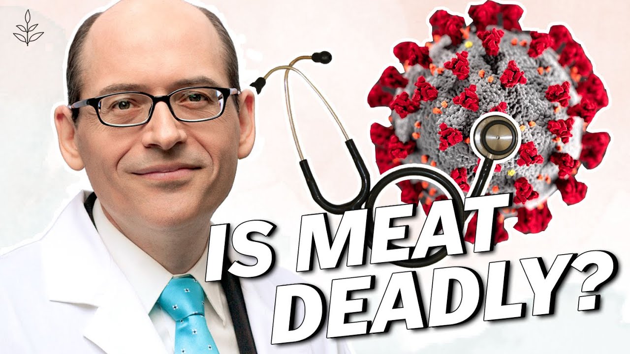 HOW MEAT Causes PANDEMICS | LIVEKINDLY