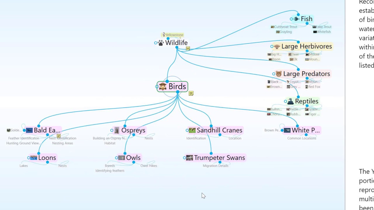 Extracting More Understanding From The Graph View Additional Graph Layout Algorithms Feature