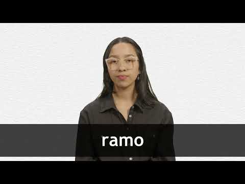 English Translation of “RAMO” | Collins Spanish-English Dictionary