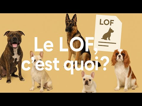 À quoi sert le LOF ? Tout savoir sur le livre des origines français 🐾