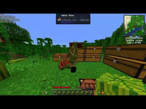 How to use auto crafting (Inventory Profiles Next Feature)