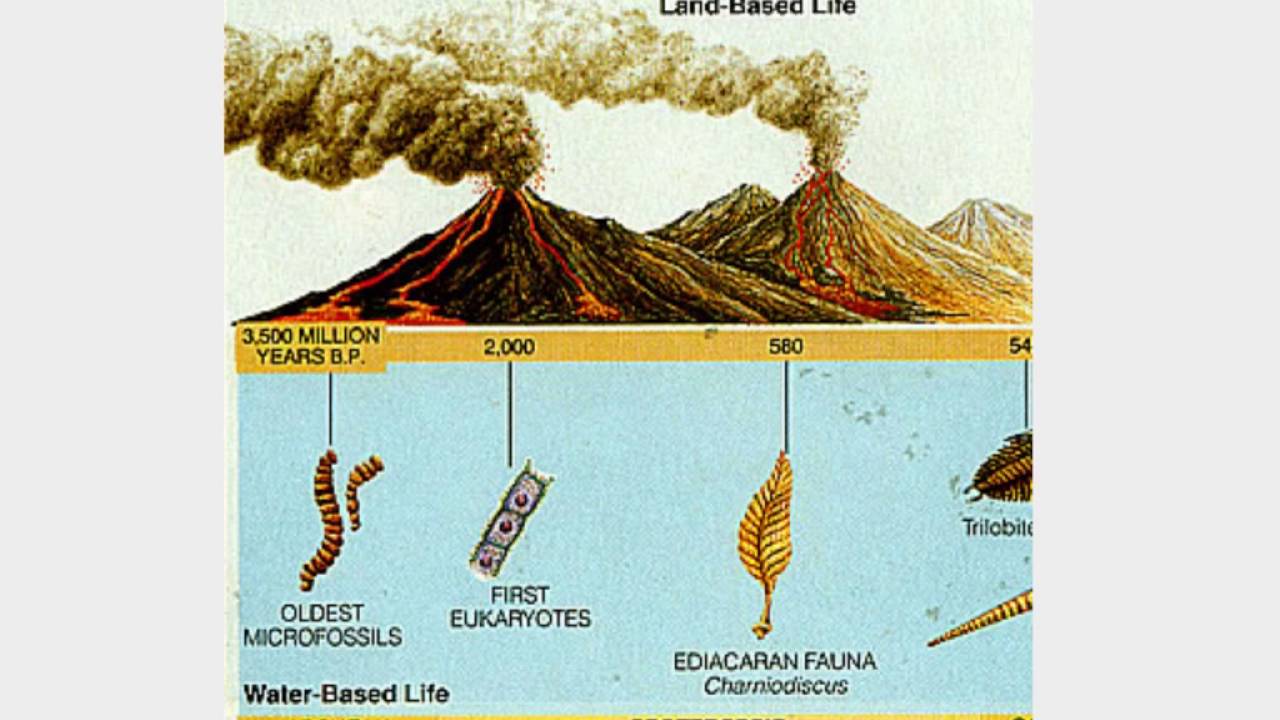 8.6a Precambrian Time