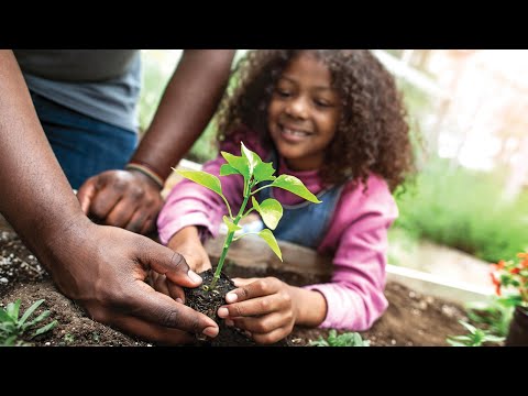 Tackling Lead in Detroit | Erb Environmental Health, Justice and Equitable Development