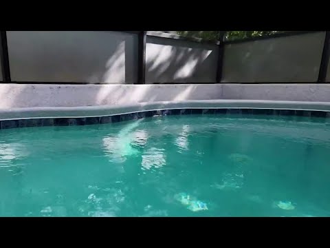 Florida Lawmakers Push for More Pool Safety to Prevent Accidental ...