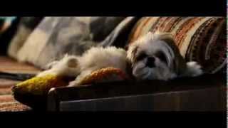 Seven Psychopaths - At Cinemark October 12th