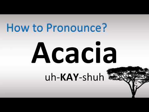 How to Pronounce Acacia