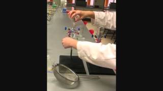 Studyclix | Experiment Questions