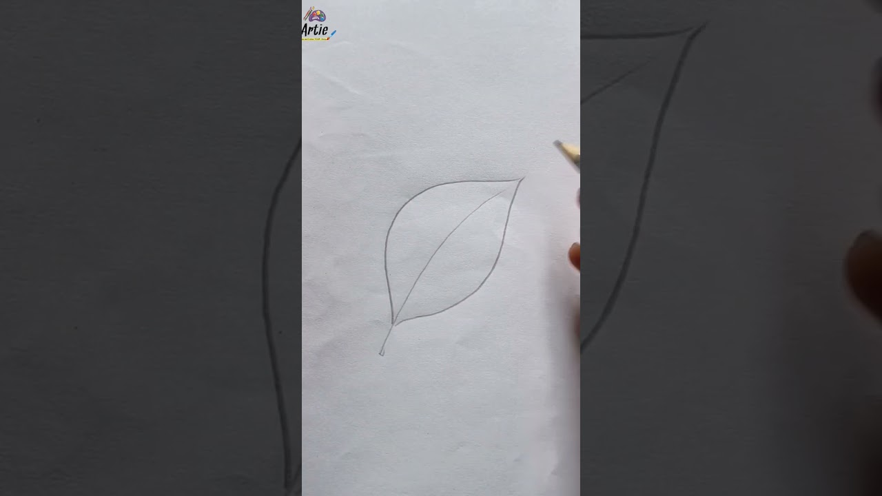 leaf drawing for beginners|easy drawing #howtodraw @Artie #shorts