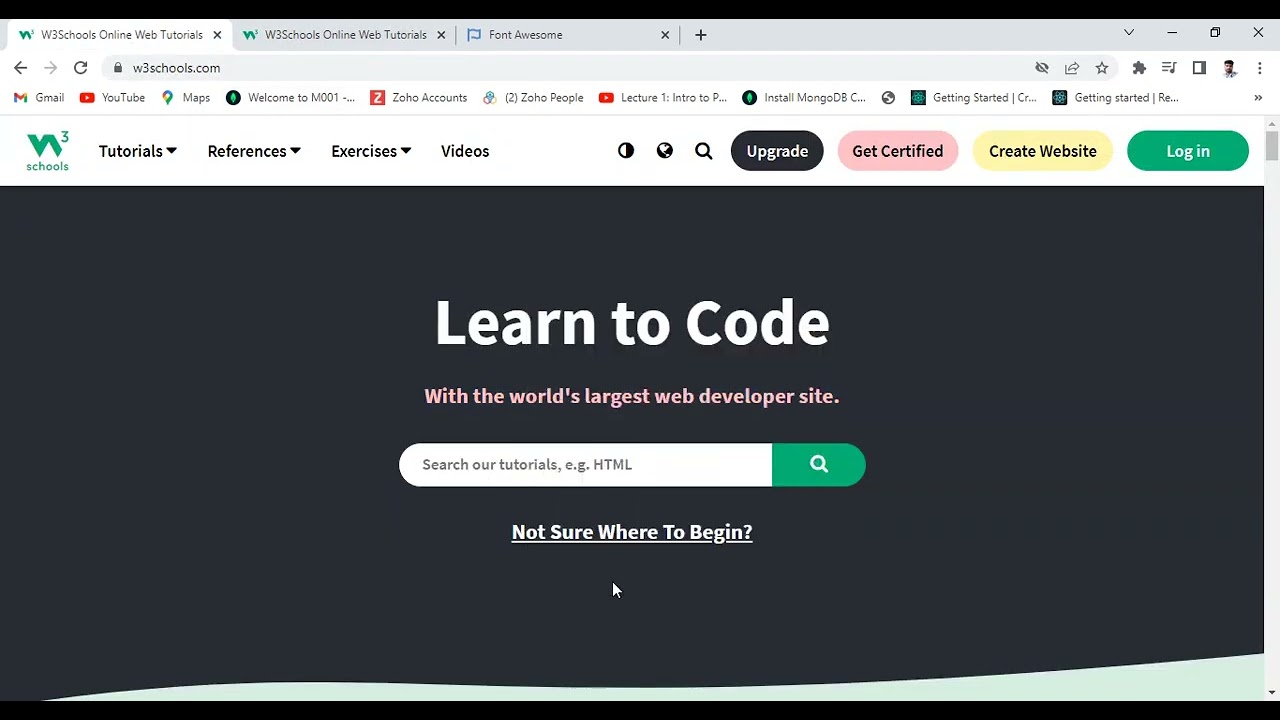 w3schools  clone body section part - 1 html css and javascript