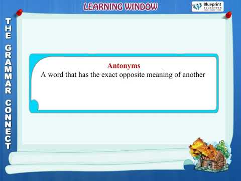 Synonyms and Antonyms - Grammar for Class 7